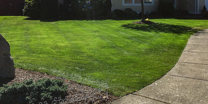 Lawn Mowing - Cascade Maintenance Services LLC